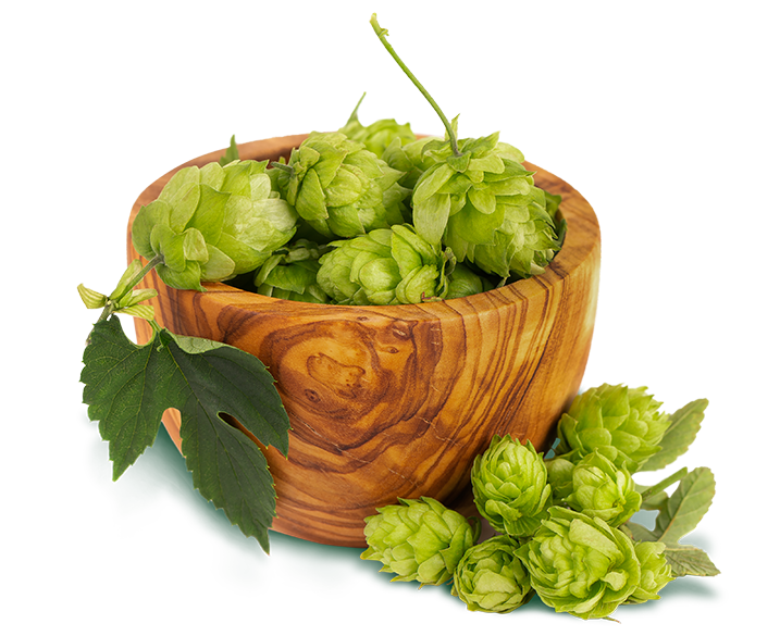 Welcome to Myanmar Beer | Myanmar Lager