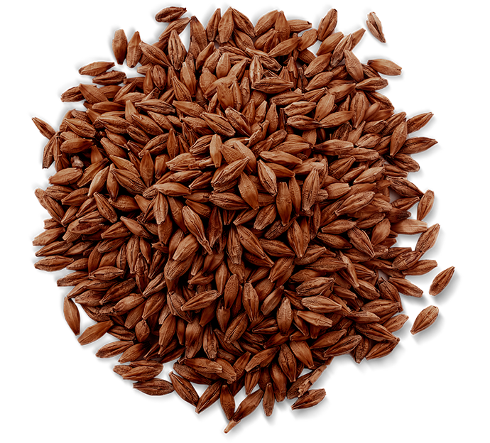 Welcome to Myanmar Beer | Myanmar Larger